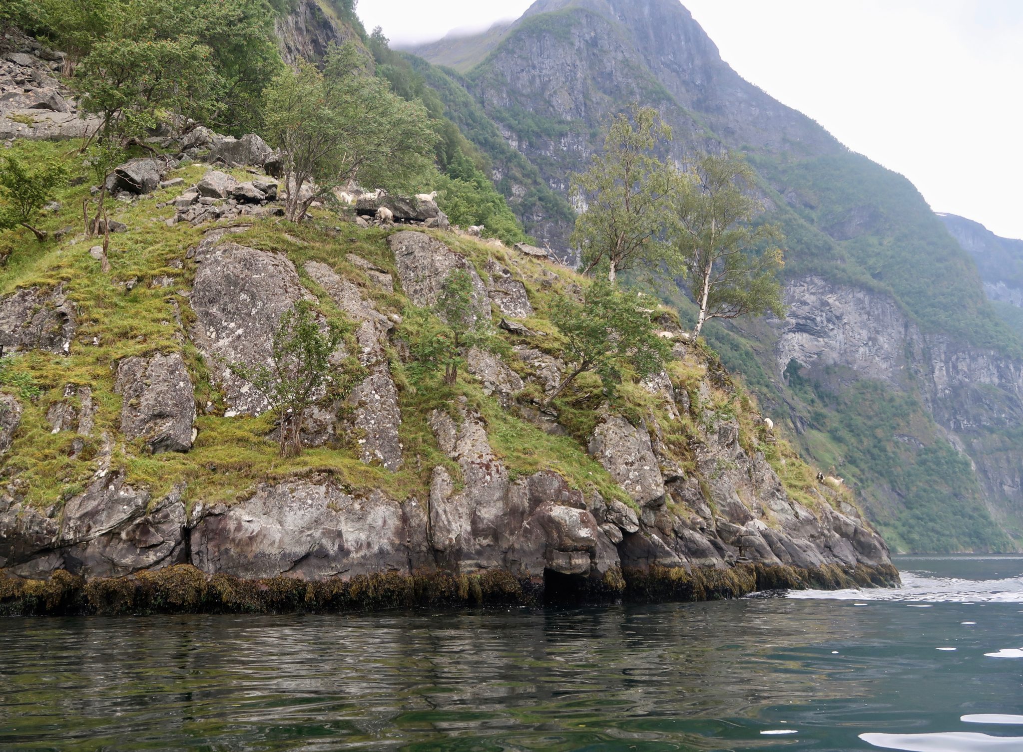 Sognefjord: Exploring Norway’s Majestic Fjords, Part 1 – NextGen Nomads